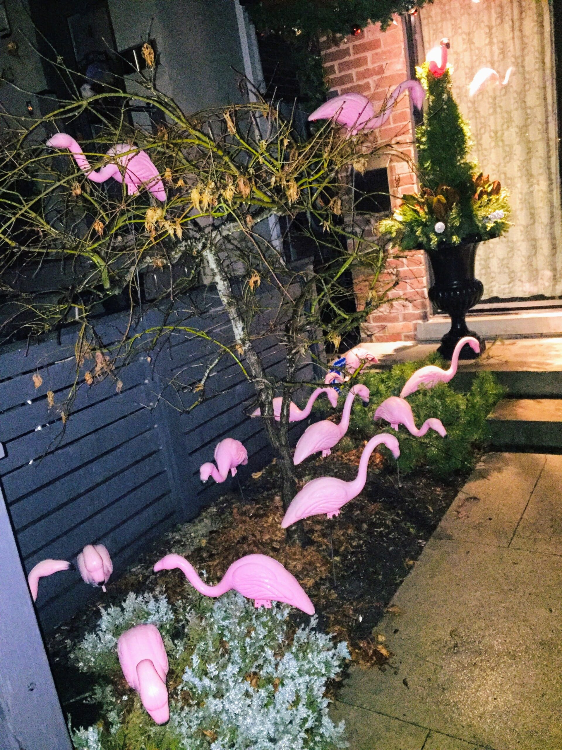 Lawn Displays - Flamingos & Friends®